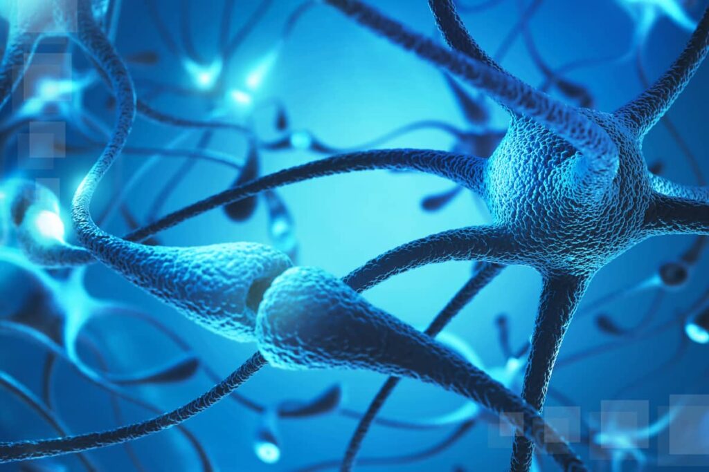 Peripheral Nervous System - Lone Star Neurology
