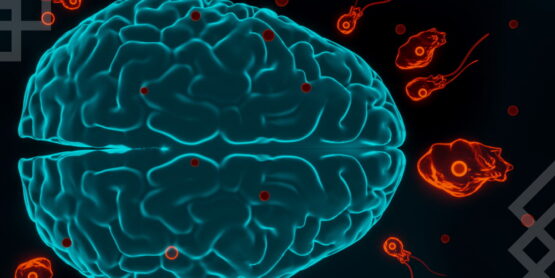 What Causes Brain Infections? - Lone Star Neurology
