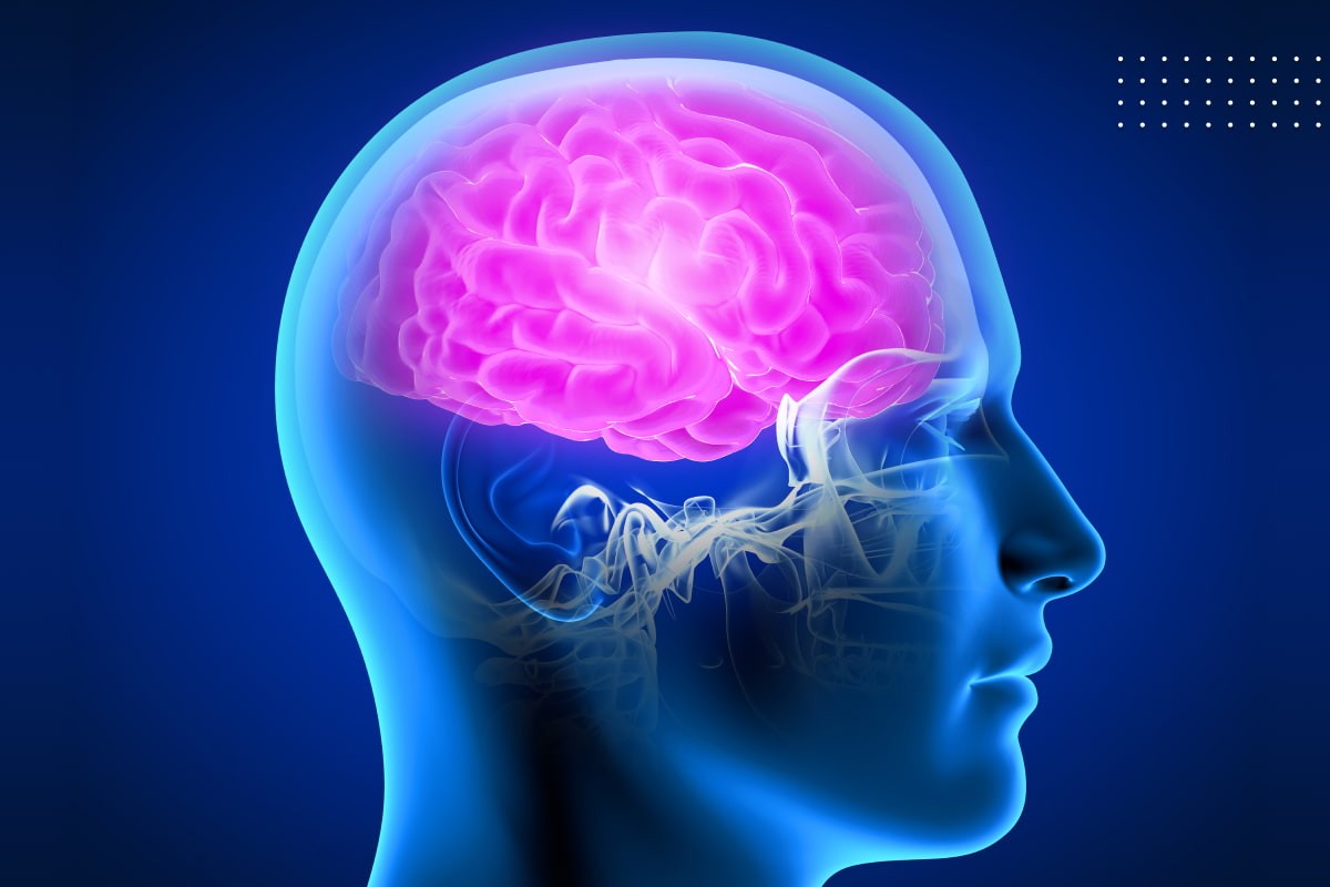What are the Neurological Disorders which Affect Speech