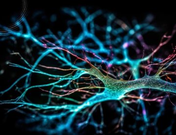 5 Common Neurological Disorders You Should Know