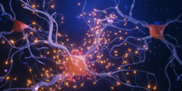 Infection in Central Nervous System: Symptoms & Causes