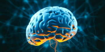 Can Seizures Cause Brain Damage? Insights & Findings