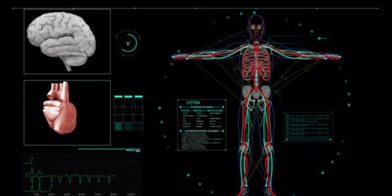 How Does Epilepsy Affect the Nervous System? A Deep Dive