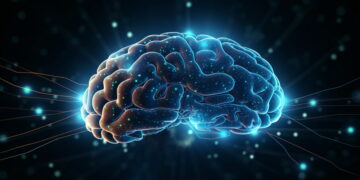 How Neuroplasticity Works: A Comprehensive Guide