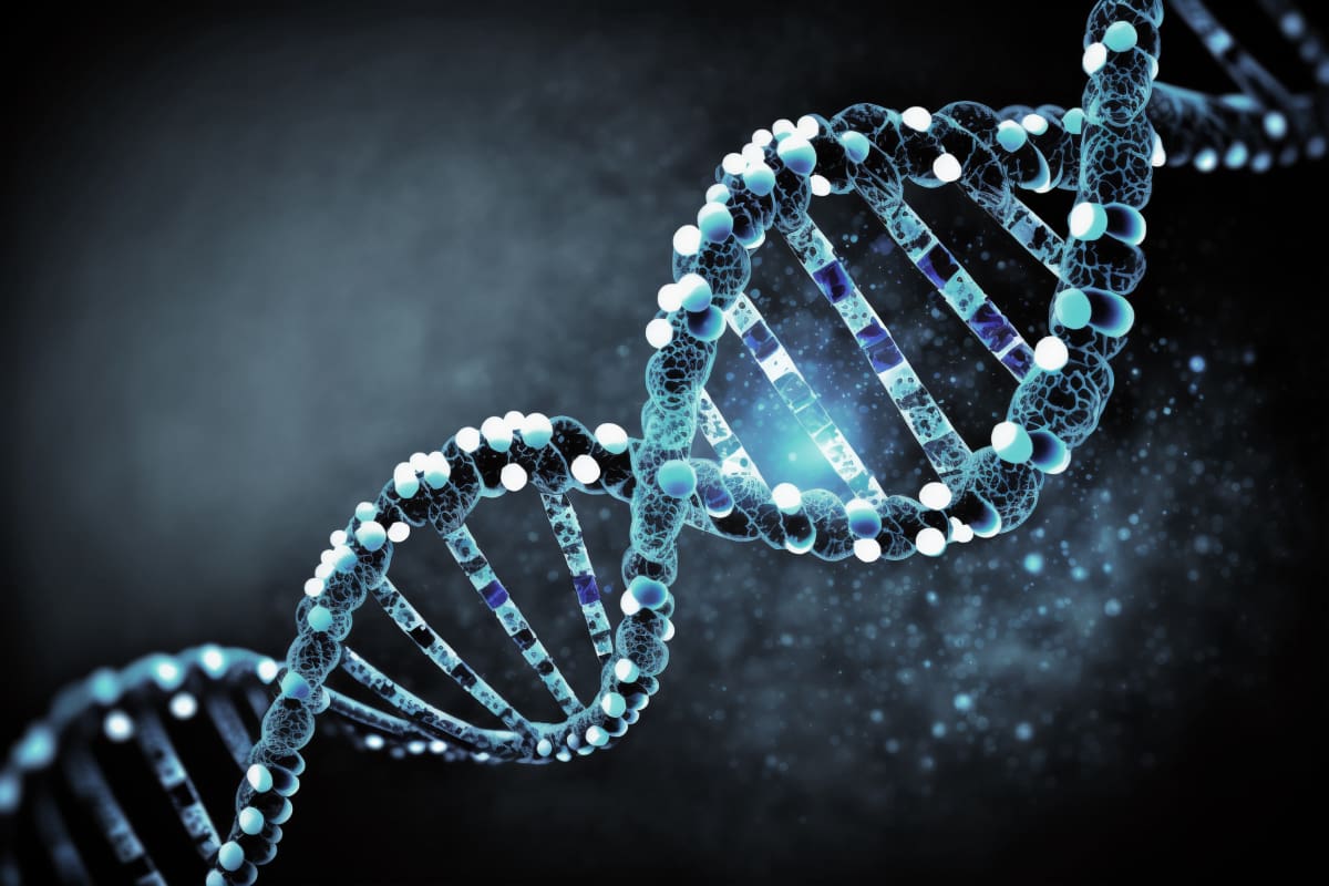 Epilepsy & Genetics: Uncovering DNA Links