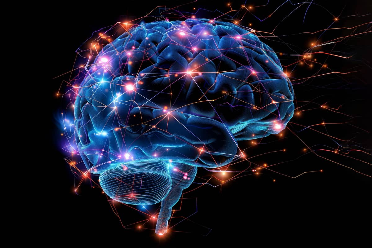 Neuroplasticity: Brain Healing & Adaptation Insights