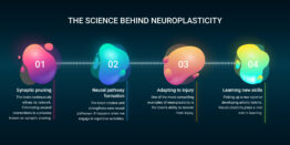 Neuroplasticity: Brain Healing & Adaptation Insights