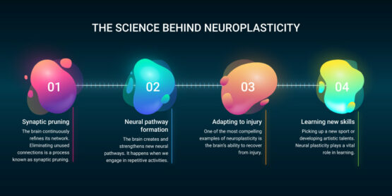 Neuroplasticity: Brain Healing & Adaptation Insights