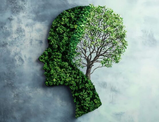 Frontal Lobe Damage: Symptoms, Causes and Diagnostics