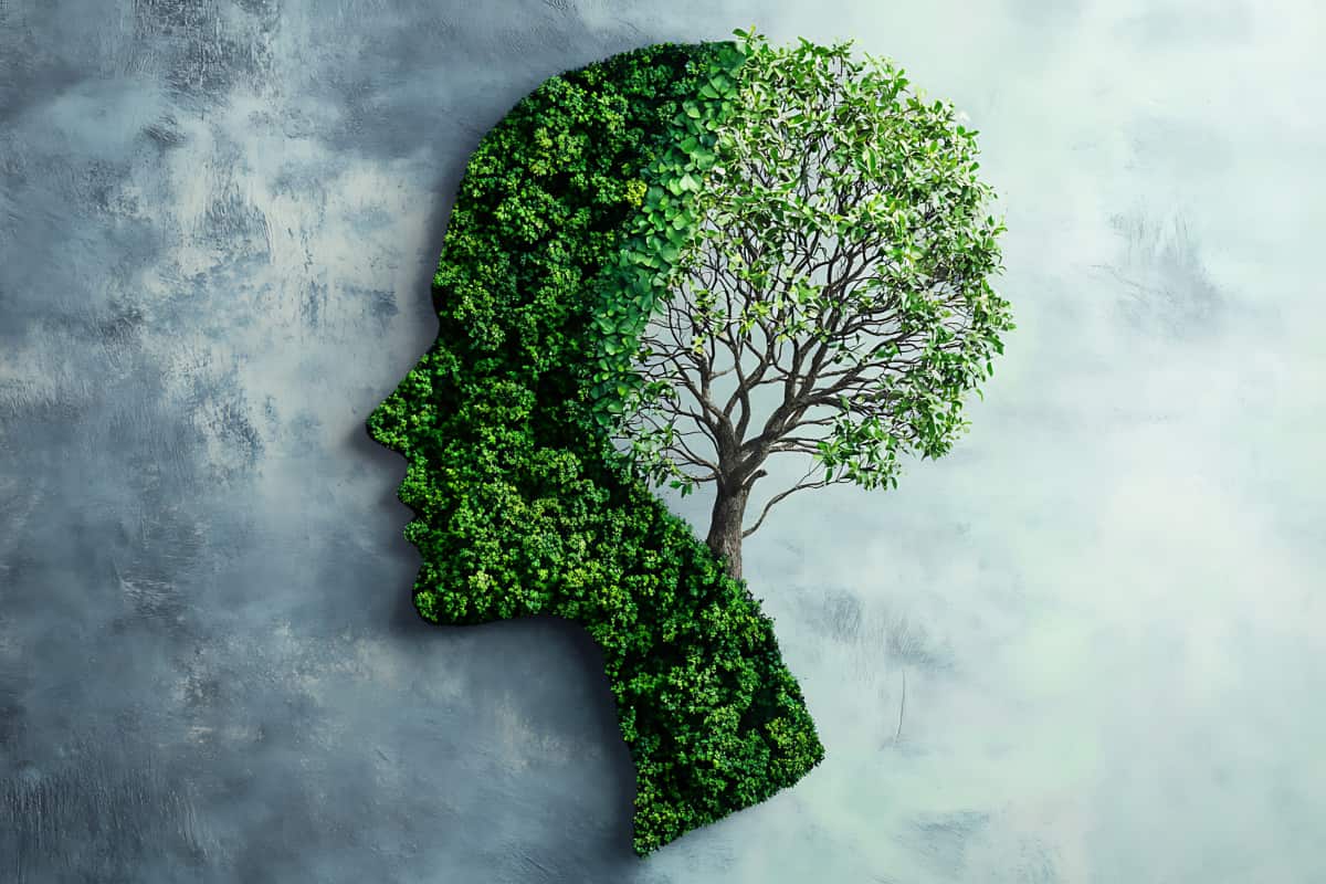 Environmental Influences on Neurological Disorders