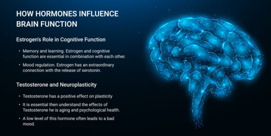 Hormonal Changes and Their Effects on Neurological Function