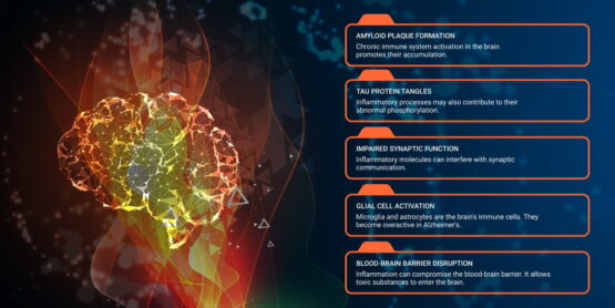 Neuroinflammation's Role in Alzheimer's Disease