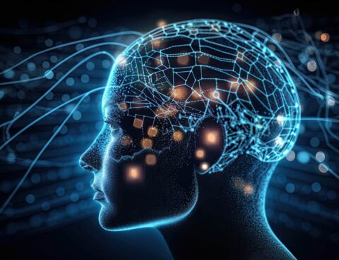 Frontal Lobe Damage: Symptoms, Causes and Diagnostics