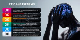 Neurological Impact of Trauma & PTSD: Insights & Solutions