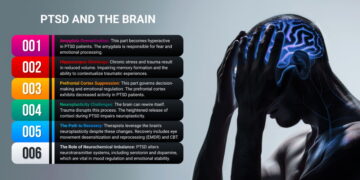 Neurological Impact of Trauma & PTSD: Insights & Solutions