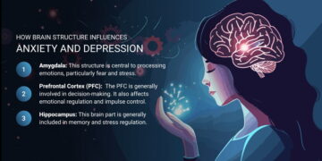 Understanding the Neurological Basis of Depression and Anxiety Disorders