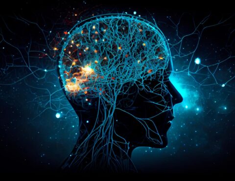 Frontal Lobe Damage: Symptoms, Causes and Diagnostics