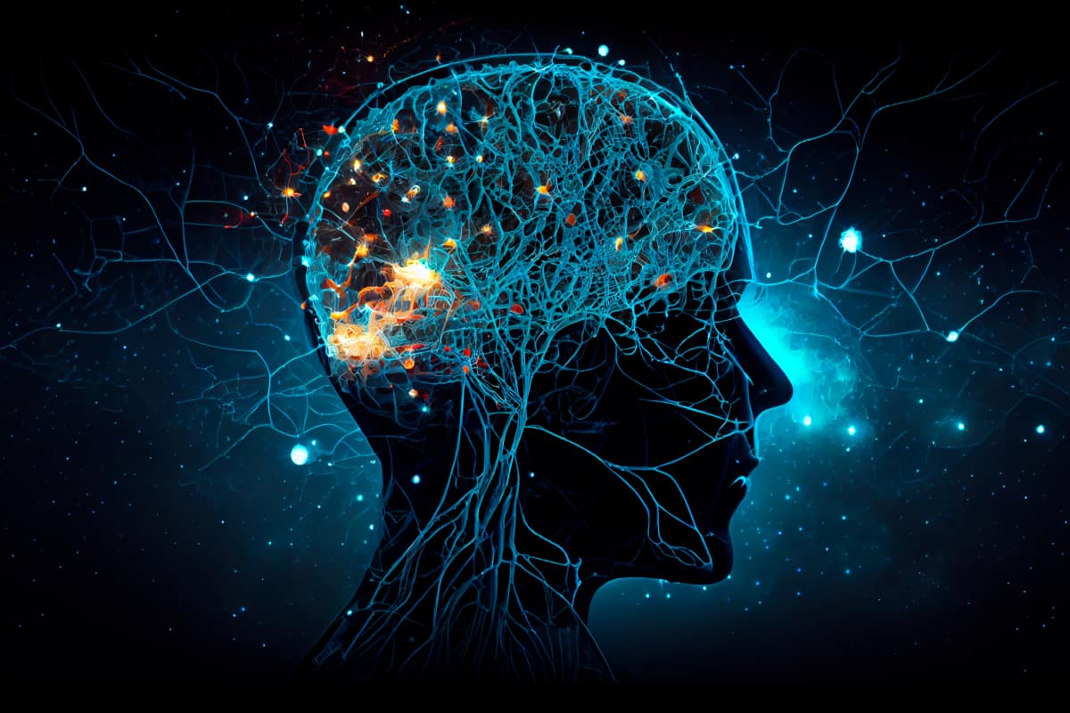 Meditation & Brain: Neurological Insights & Benefits