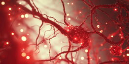 Cerebral Blood Flow – Key to Neurological Health