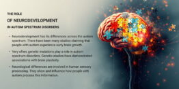 Neurological Insights into Autism Spectrum Disorders