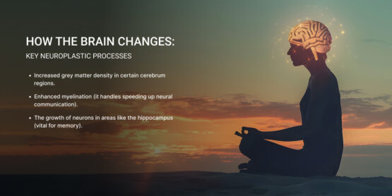 Meditation & Brain: Neurological Insights & Benefits