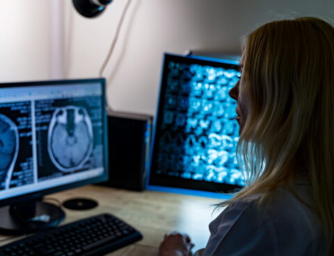 Neurological Insights into Autism Spectrum Disorders