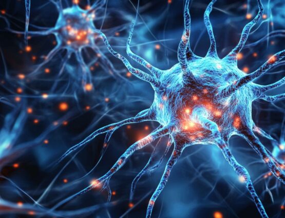 Understanding FND: Myths vs. Facts Explained